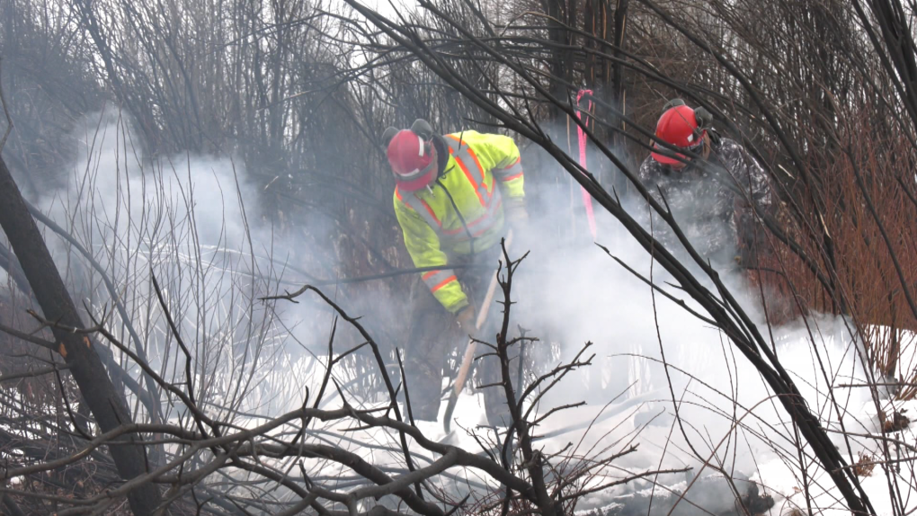Zombie Forest Fires Sparking Winter Forest Fires - The AB Post